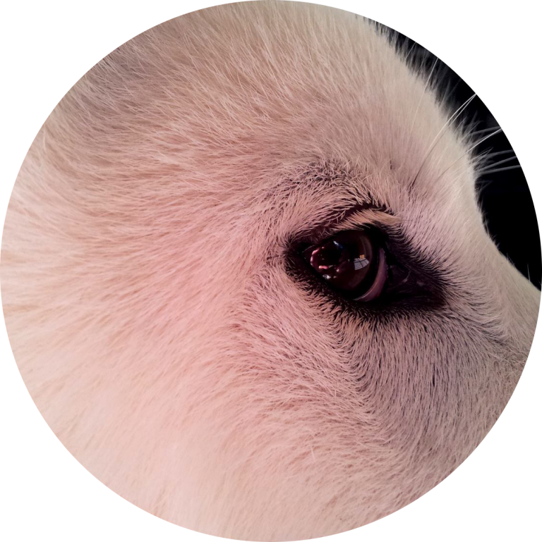 Sky Channel Codes – All You Need